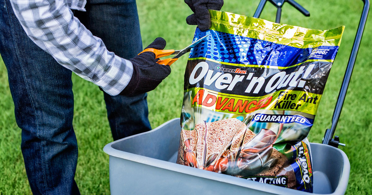 How to Kill and Prevent Fire Ants in Your Lawn