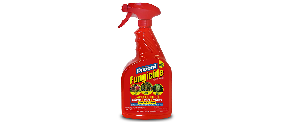 Keep fungal disease out of your garden - Daconil® Fungicide Contentrate